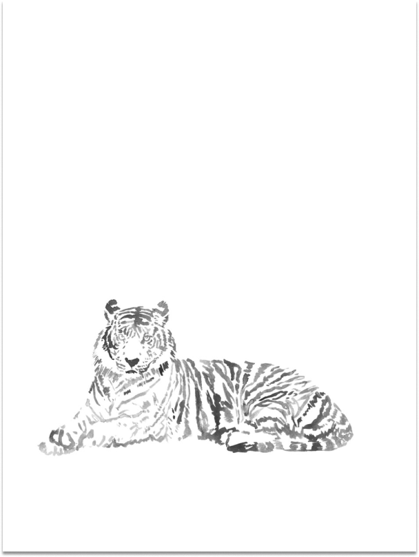 Lesser Spotted Tiger | Black & White – Shop Adele Catherine