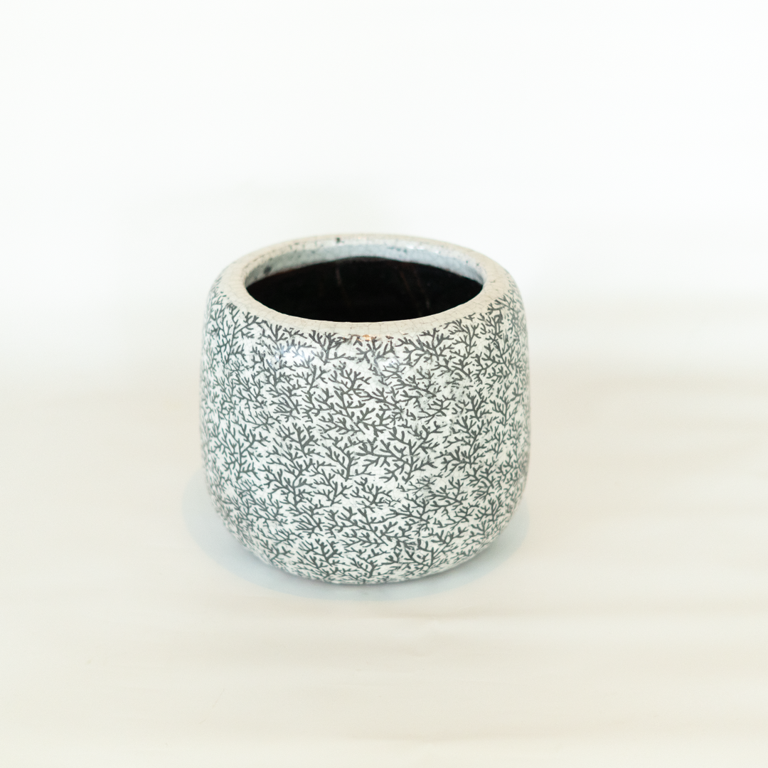 Shop Adele Catherine