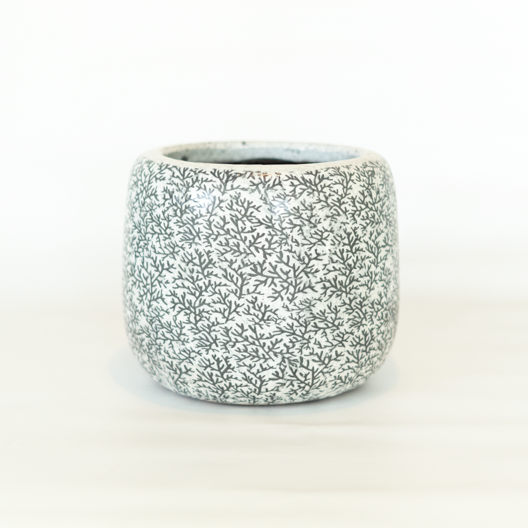 Shop Adele Catherine